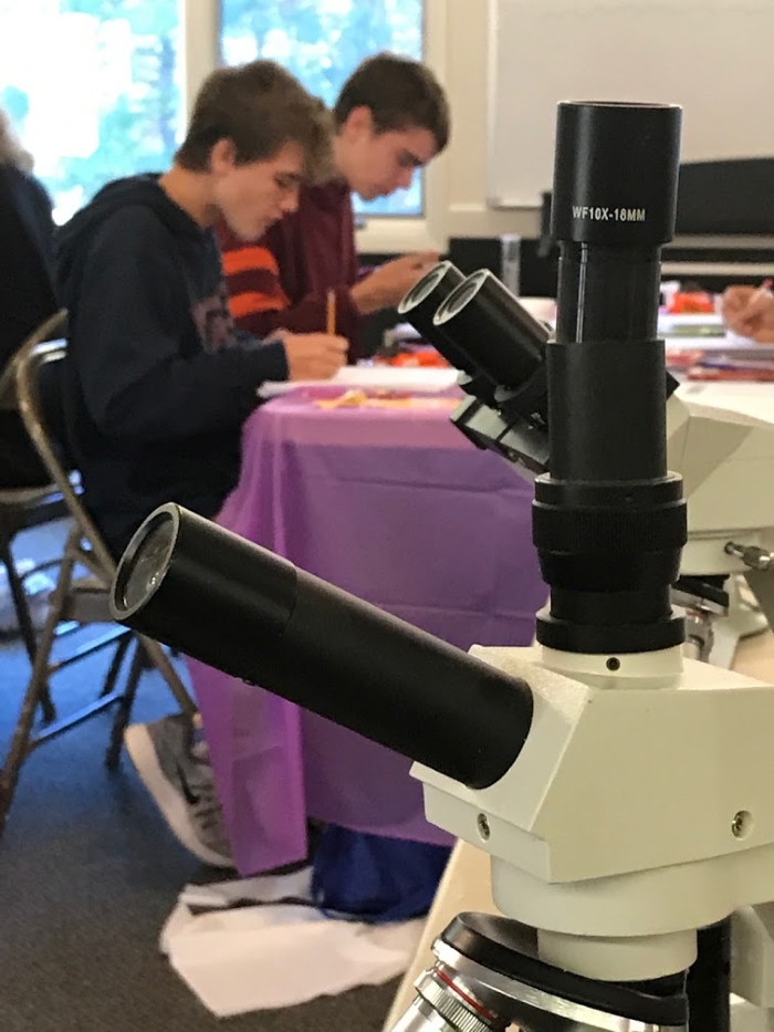 6 Tips For Homeschool Science Labs - Mommy's Playbook