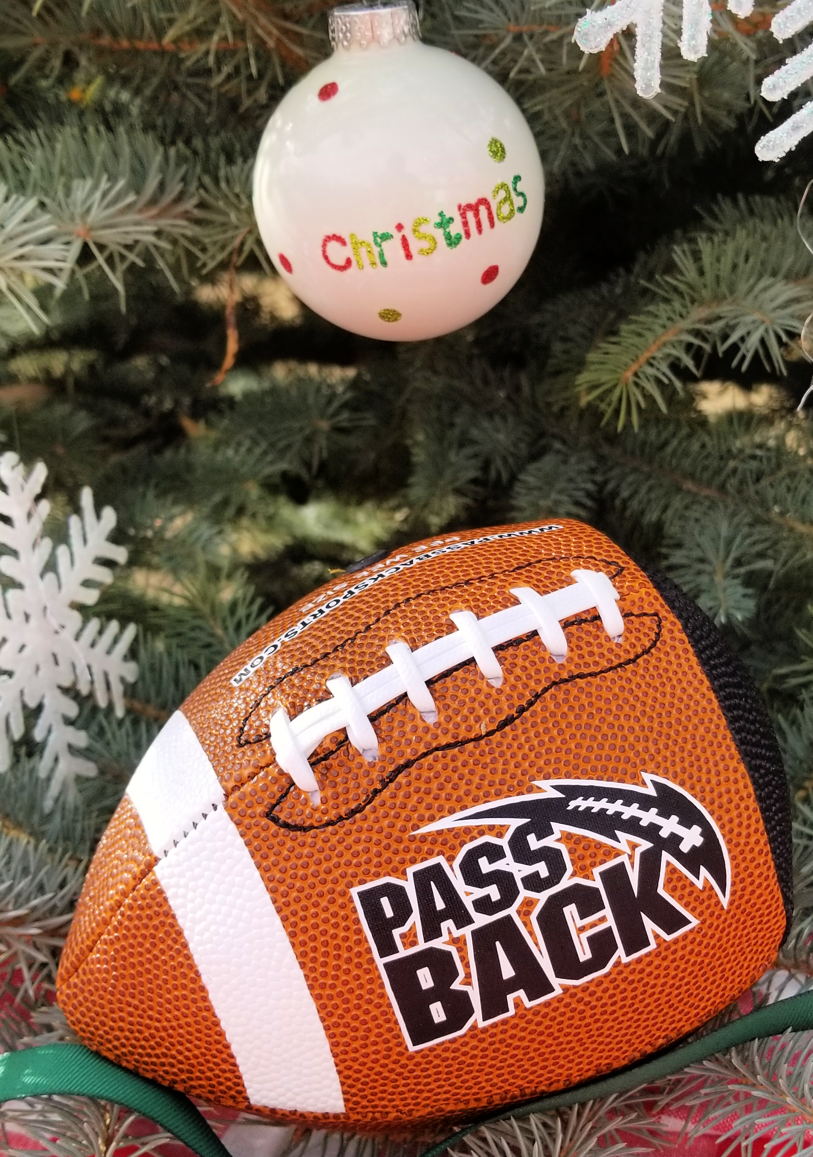 Passback Football Youth Training Football! - Mommy's Playbook